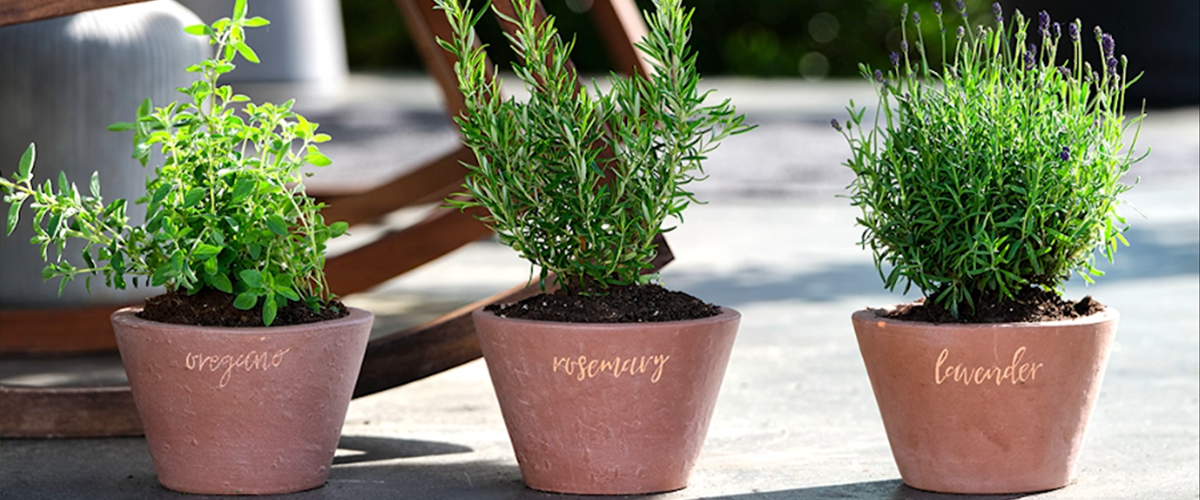 Doniczki DIY | Ryobi